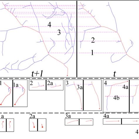 Recursive Alignment Along Different Levels Of Branching Detail And Download Scientific Diagram