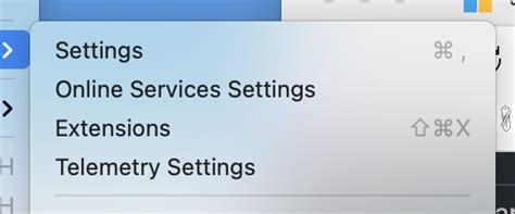 Telemetry Entry Is In The Wrong Place Issue Microsoft Vscode GitHub