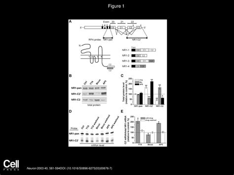 Volume 40 Issue 3 Pages October 2003 Ppt Download
