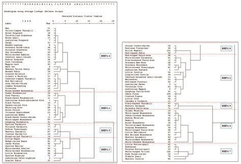 Dendrogram Depicting Numerical Values Of Distance Coefficients 25 And
