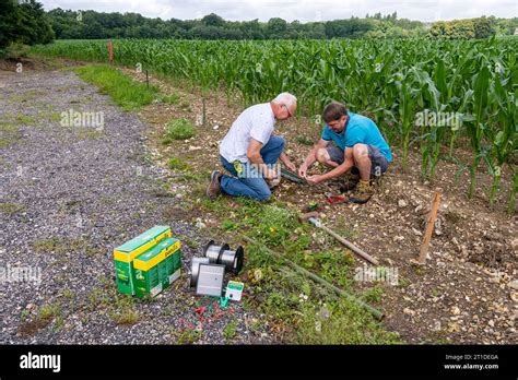 installation and maintenance of electric fences against wild boars