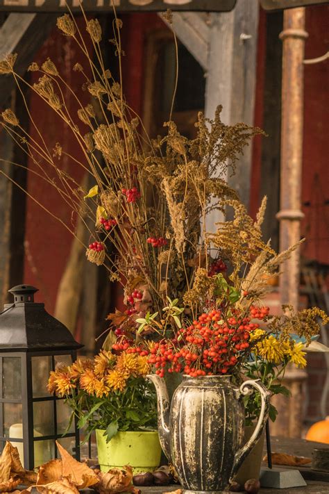 무료 이미지 자연 식물 여름 꽃다발 주황색 가을 낭만적 인 정원 정물 꽃들 미술 아름다움 스트라우스