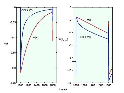 Showing Two Time Constants For Calculated L Type Ca 2 Download Scientific Diagram