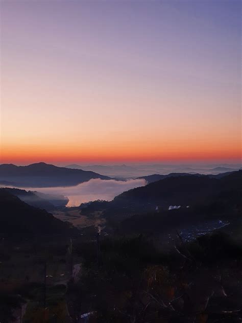 여명 안개낀아침 산 Pixabay의 무료 사진