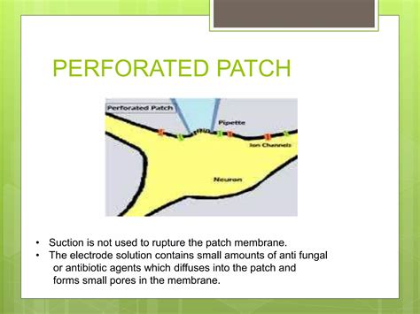 Patch Clamp Techniques Pptx