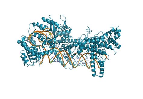 How To Use Alphafold3 Commercially How To Use Alphafold3 Commercially
