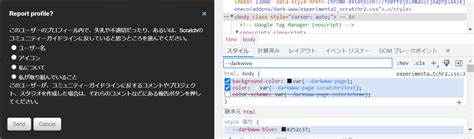 Unreadable Text In Report Profile Modal · Issue 5298 · Scratchaddons