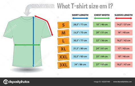 Vector Illustration Unisex Short Sleeve Fhirts Sizing Chart Stock Vector By ©lukaves 452207480