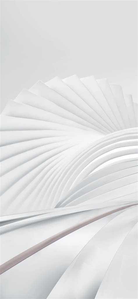 图片 灰白背景图片素材 花瓣网