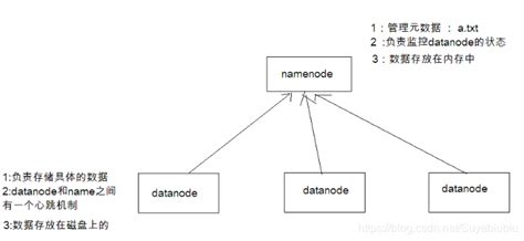 214 Hadoop体系之离线计算 Hdfs分布式文件系统 Hdfs概念和架构模型hadoop实现数据的离线计算 Csdn博客