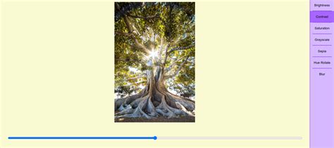 GitHub Kevinadhiguna React Photo Editor A Photo Editor That Allows You To Adjust Some Effects