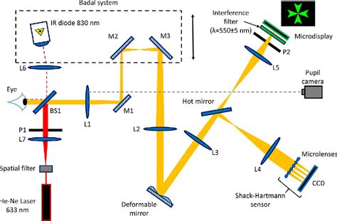 Figure 1 From Accommodation Responds To Optical Vergence And Not