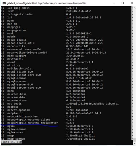 Start Nx Meta Server In Ubuntu Via Terminalcli Network Optix
