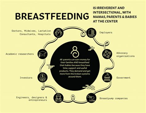 Future Of Breastfeeding Diagram Demonstrating A Systems Thinking