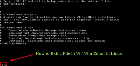 how to exit a file in vi vim editor in linux