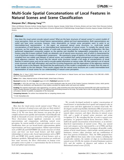 Pdf Multi Scale Spatial Concatenations Of Local Features In Natural Scenes And Scene