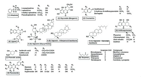 Structural Classification Of The Active Components Of Traditional