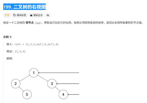 2025年 h51 lc159 199 二叉树的右视图 层序遍历，队列） java版 csdn博客