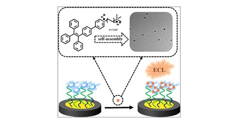 Self Assembled Tetraphenylethene Based Nanoaggregates With Tunable