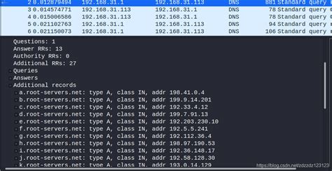 dig基本介绍 利用wireshark和dig命令学习dns整个过程 chaos txt记录“ version bind”的查询通常会提示服务