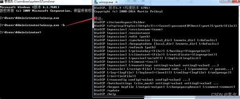 以开启telnet来说明winscp命令行的使用 winscp telnet csdn博客