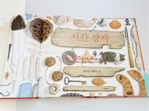 유아그림책세계의걸작그림책 시간상자 데이비드 위즈너 네이버 블로그
