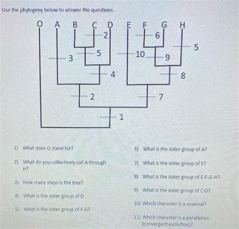 solved use the phylogeny below to answer the questions 0 a