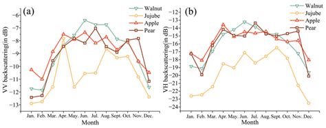 Sentinel 1 Sar Band Time Series A Vv Polarization Characteristic Download Scientific Diagram