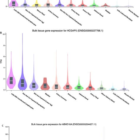 Schematic Of Custom Bioinformatics Pipeline To Identify Chickenpox
