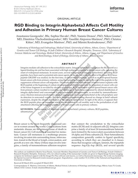 Pdf Rgd Binding To Integrin Alphavbeta3 Affects Cell Motility And