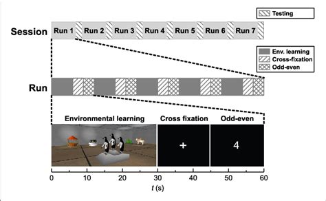 Schematic View Of The Functional Paradigm Download Scientific Diagram
