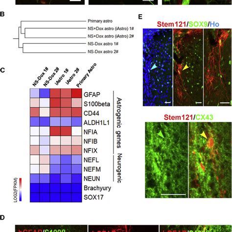 Su Chun Zhang University Of Wisconsin Madison Wisconsin Uw