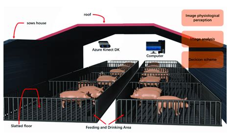 Plf Precision Livestock Farming Of Sow Information Perception Diagram