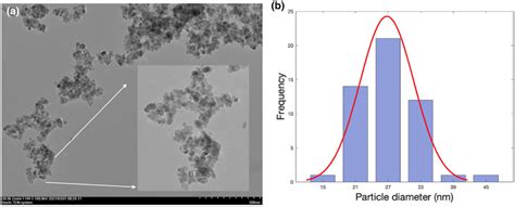 Tem Image Of A The Synthesized Tio2 B Particle Diameter Distribution Download Scientific Diagram