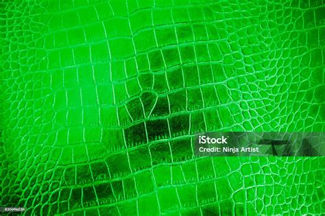 녹색 또는 에메랄드 색상 질감 패턴 추상 배경 벽 종이 화면 보호기 안내 책자 표지로 사용 될 수 있다 또는 프레 젠 테이 션 배경 또한 공간이 복사 텍스트에 대 한 가죽에