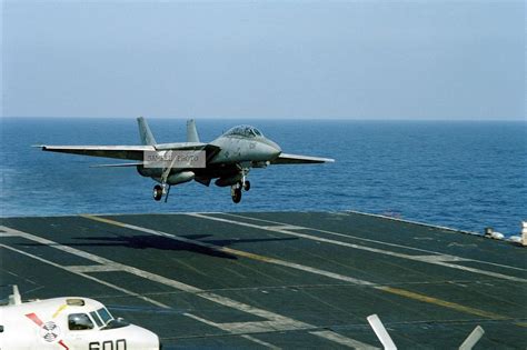 Amazon.com: Photo A Fighter Squadron 41 (VF-41) F-14A Tomcat aircraft ...