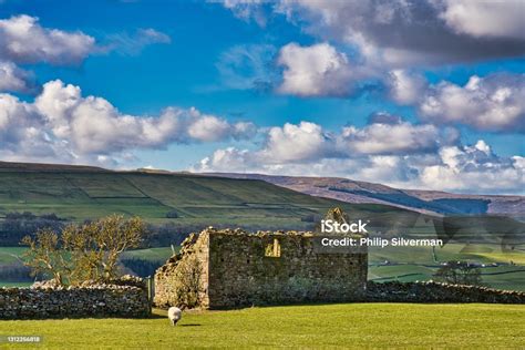 전형적인 요크셔 데일스 시골의 오래된 돌 헛간 웬슬리데일 요크셔 데일스 노스 요크셔 잉글랜드 영국 0명에 대한 스톡 사진 및 기타 이미지 Istock