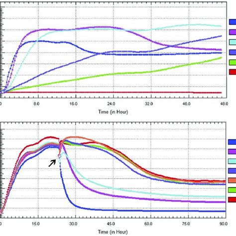 Cpe Kinetic Patterns Of Mdck Cells Inoculated With 100 Tcid50 Virus Download Scientific Diagram