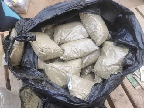 ပုလောမှာဖမ်းဆီးရမိသော မူးယစ်ဆေးဝါးများကို ပုလောဒေသကာကွယ်ရေးတပ်ဖွဲ့က မီးရှို့ဖျက်ဆီး