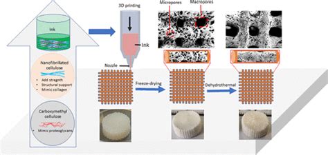 从组织工程应用中的纤维素纳米材料设计自固定和双重多孔3d生物支架的通用方法 Acs Applied Bio Materials X Mol