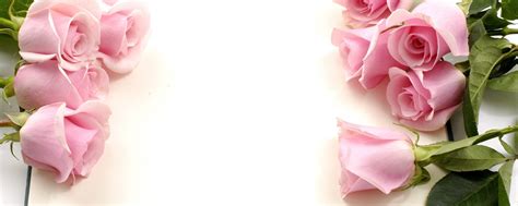 Фон цветы с днем рождения 64 фото