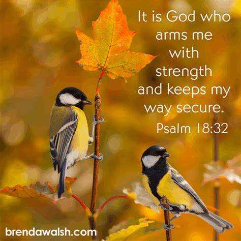 Preparing For Success Brenda Walsh Scripture Images
