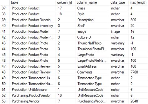 Find All String And Binary Columns In SQL Server Database SQL Server Data Dictionary Queries