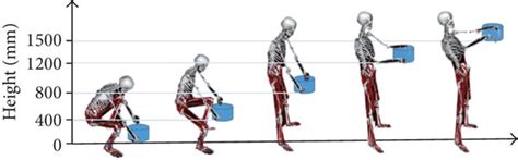 The Motion Animation Of The Participant Restored By Opensim Software