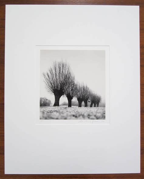 Michael Kenna Seven Pollarded Trees Capaize Bourgogne France For