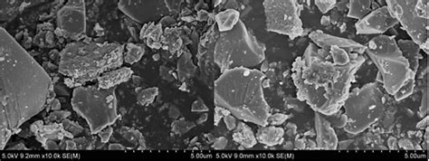 sem of catalysts a tio2 b ag2s tio2 download scientific diagram