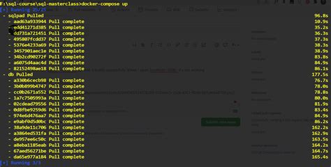 gui is not opening · issue 4 · datawithdanny sql masterclass · github