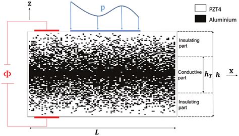 Schematic Of The Considered Pzt4alpzt4 Fgpm Download Scientific