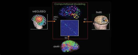 Publications Brain Networks Laboratory Raj Lab