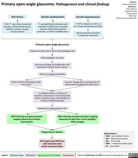 Primary Open Angle Glaucoma Pathogenesis And Clinical Findings Calgary Guide